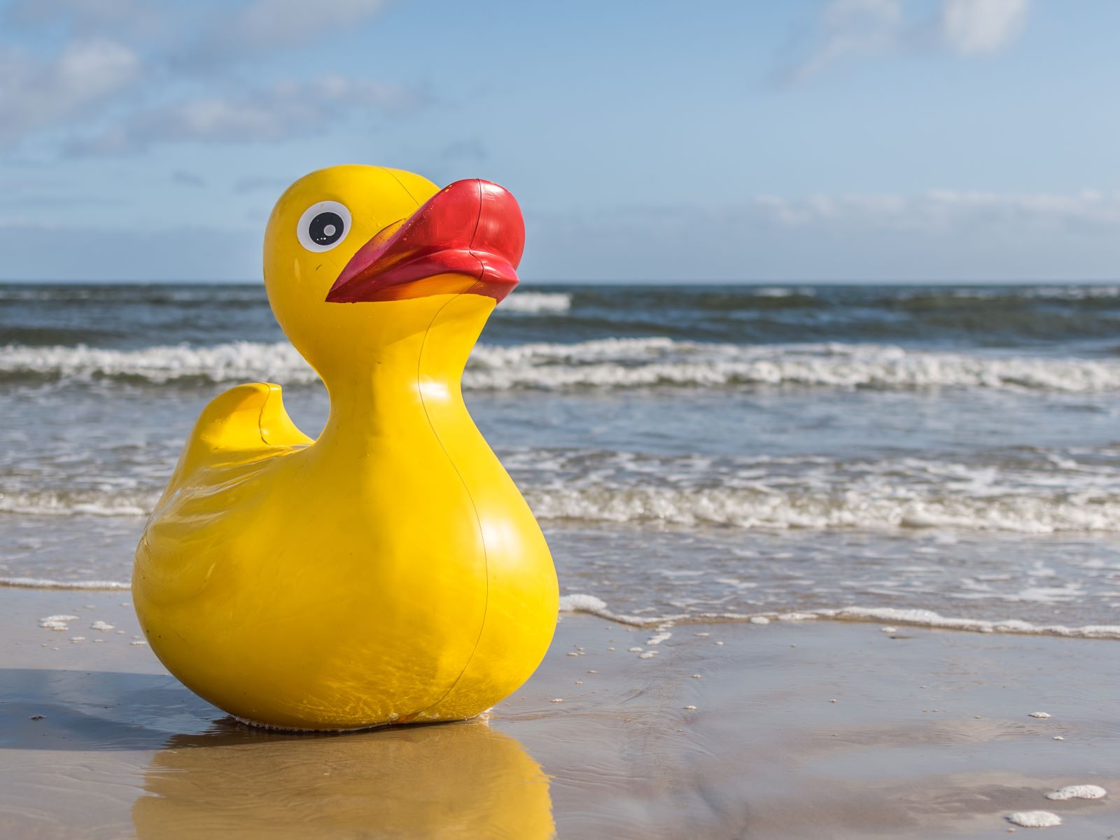 Bade Ente ∗ No.1 » FXdeco - Veranstaltungsdekoration, Verleihservice ...